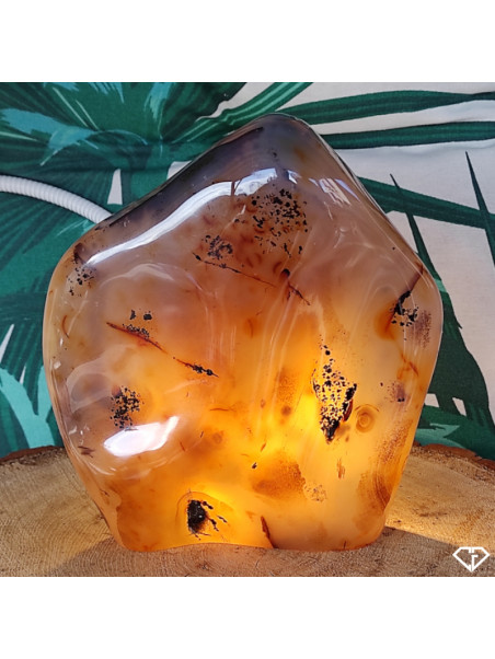 Dendritic agate block - Madagascar