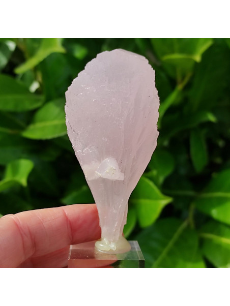 MANGANO CAlCITE - DONGWU QI INNER MONGOLIA CHINA