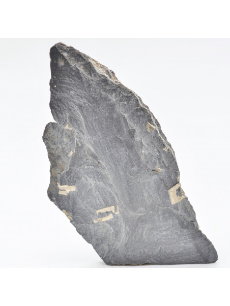 Pyrite sur ardoise - Saint-Créac, Hautes-Pyrénées, France