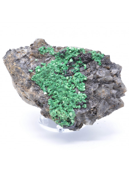 Torbernite on morion quartz - Entraygues, Aveyron, France