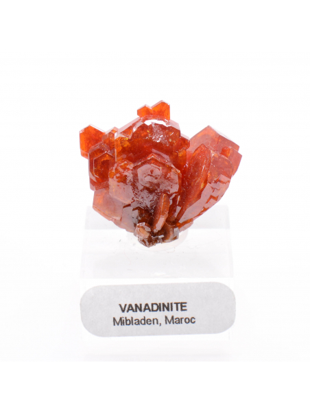 Vanadinite - Mibladen, Maroc