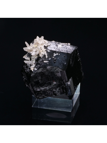 QUARTZ on SCHORL - Erongo, Namibia